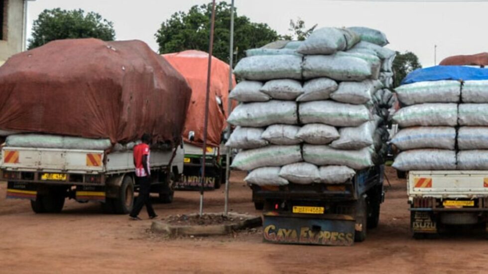Shea nut Trees - Uganda Catholic Television
